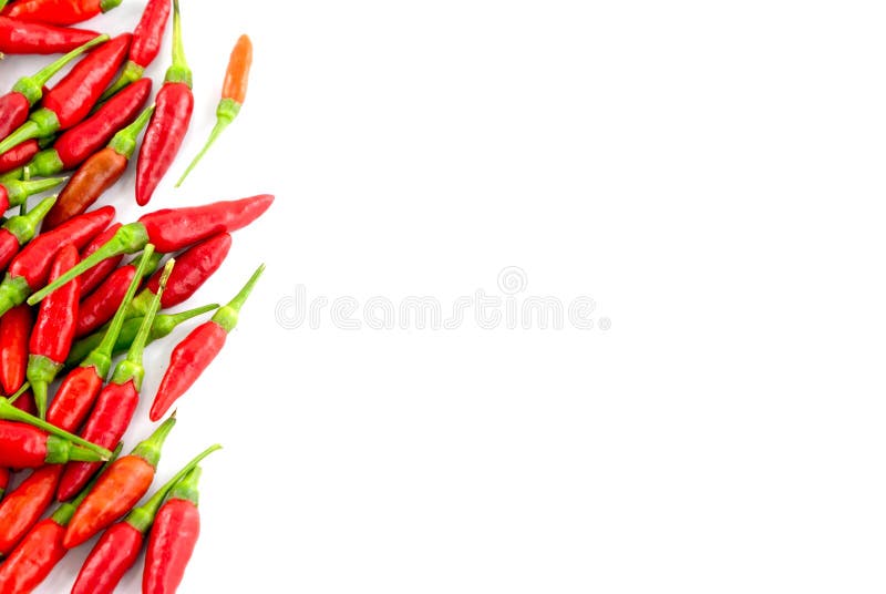 Poivrons De Piment D'un Rouge Ardent Illustration Stock - Illustration ...