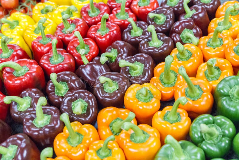 Poivrons Multicolores Au Marché Photo stock - Image du poivron, propre ...