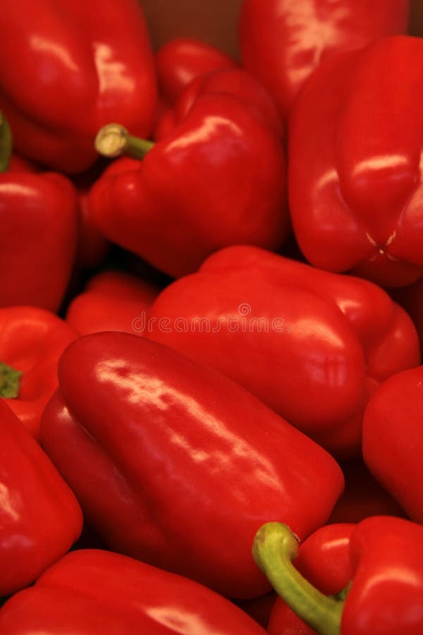 Poivrons rouges image stock. Image du lumineux, salubre - 6129469