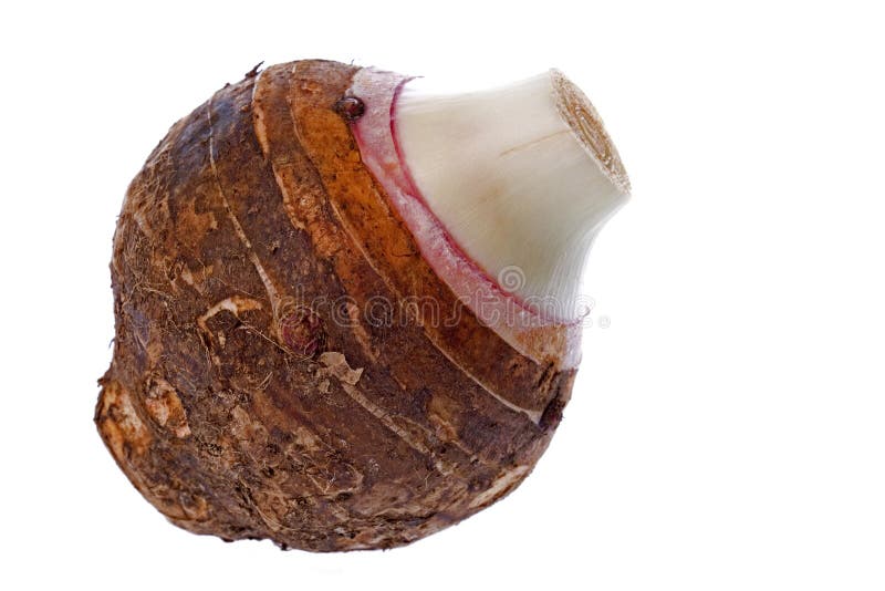 Być ignam obraz stock. Obraz złożonej z sałatka, halfback - 5742789