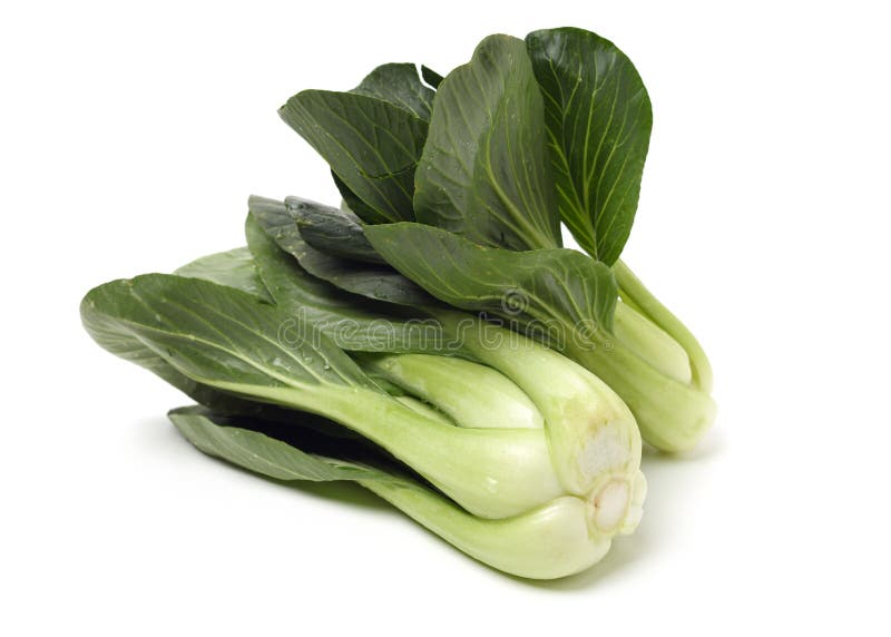 Pok Choi stock image. Image of cabbage, fresh, full - 141761301