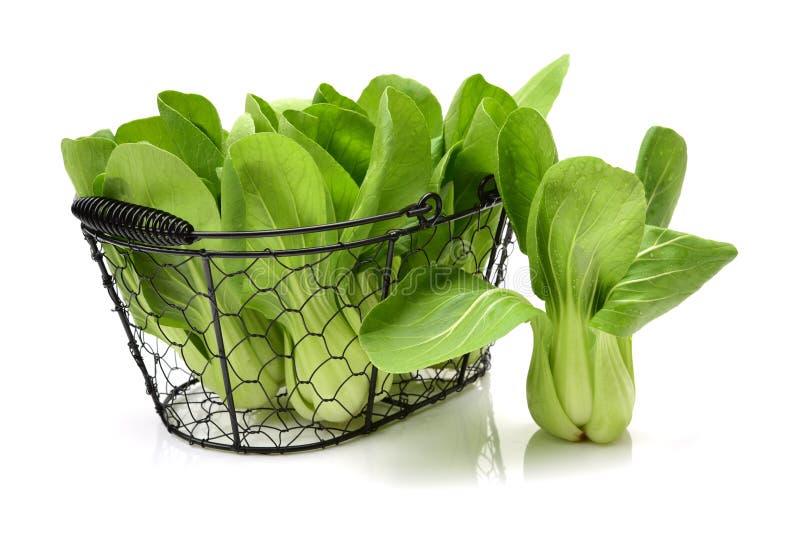 Pok Choi stock image. Image of freshness, organic, ingredient - 67985499