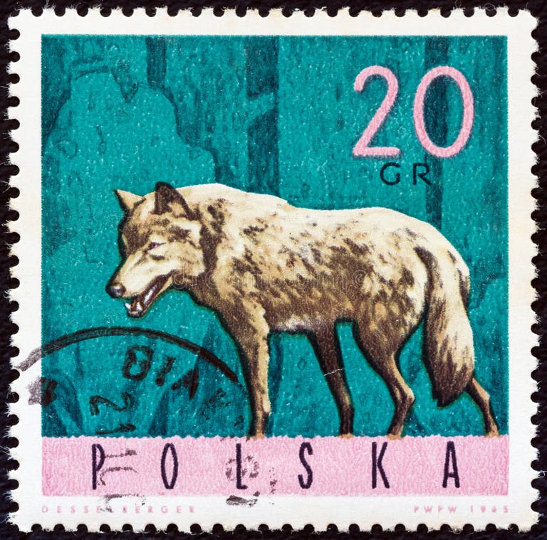 POLAND - CIRCA 1965: a Stamp Printed in Poland from the `Forest Animals ...