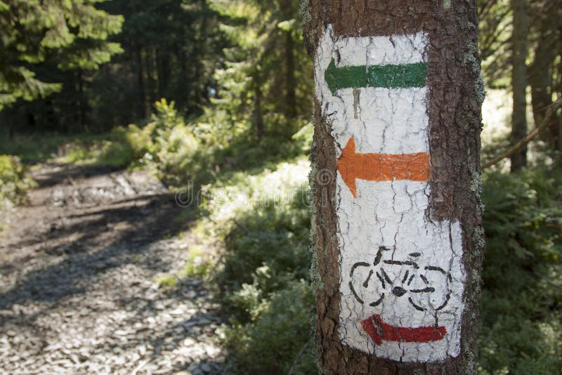 Trail Blazing On A Hiking Path Through The Woods Stock Image - Image of ...