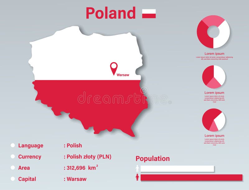 Poland Infographic stock vector. Illustration of eastern - 312482384