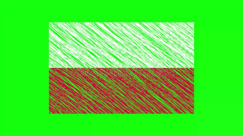 Poland Scribble Animation on Green Screen Background. Looping Seamless ...