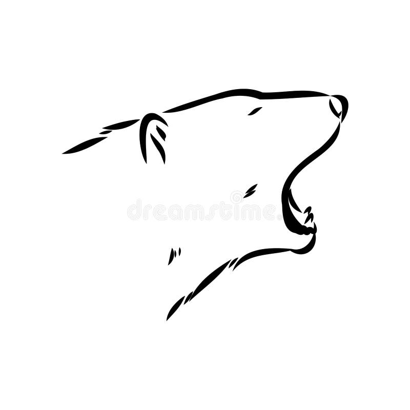 Polar Bear Illustration, Drawing, Engraving, Ink, Line Art, Vector ...