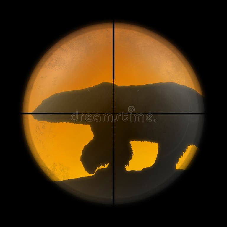 Polar Bear in the Sniper Scope Hunter. Stock Illustration ...