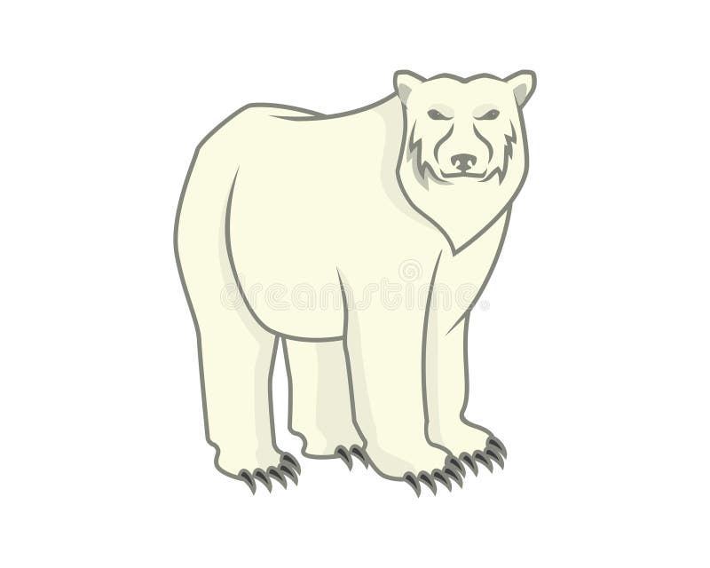 Polar Bear with Standing and Staring Gesture Illustration Stock Vector ...