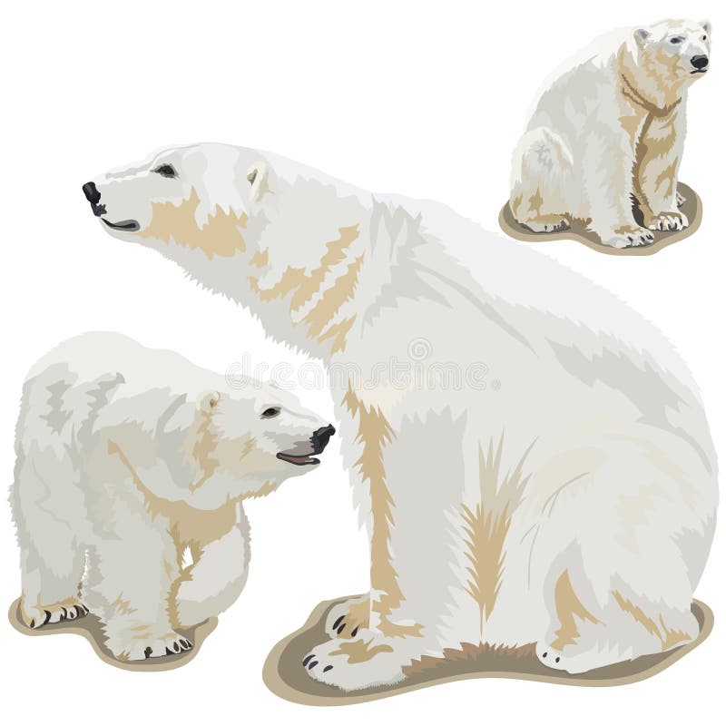 Bear Vector Polar Bear Sleep on the Log Doodle Illustration Character ...