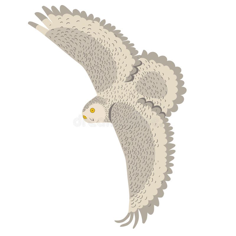 A Polar Owl in Flight. Vector Graphics Isolated on White Background ...