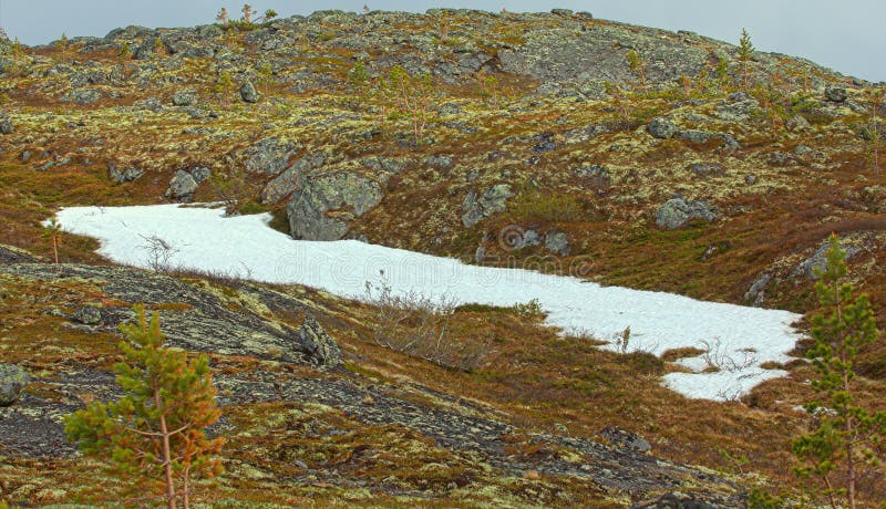 Polar region in spring stock image. Image of landscape - 73364961