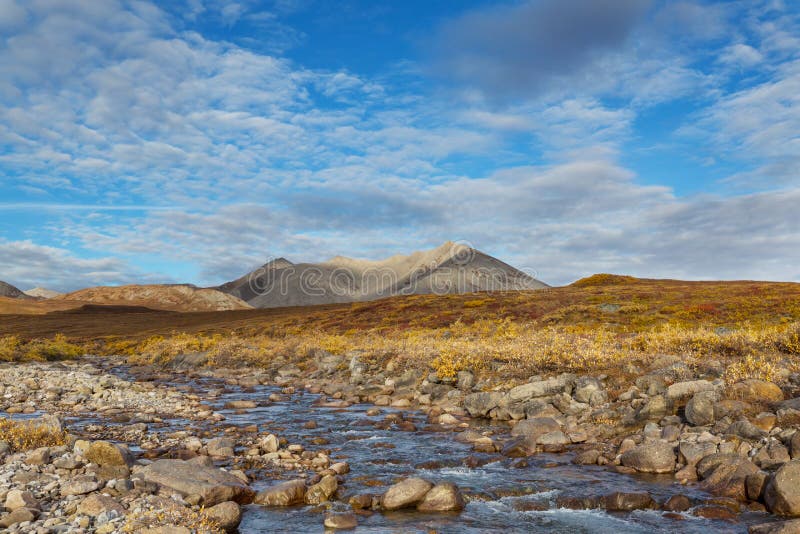 Polar tundra stock photo. Image of scenic, canada, scenery - 267165890