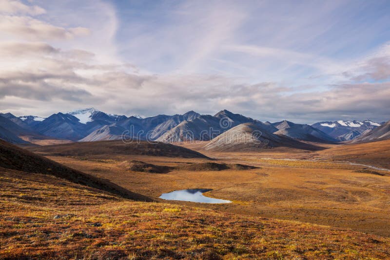Polar tundra stock image. Image of moss, polar, road - 268142901