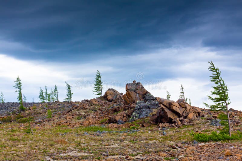 Polar Ural Mountains stock image. Image of wild, tree - 25279125