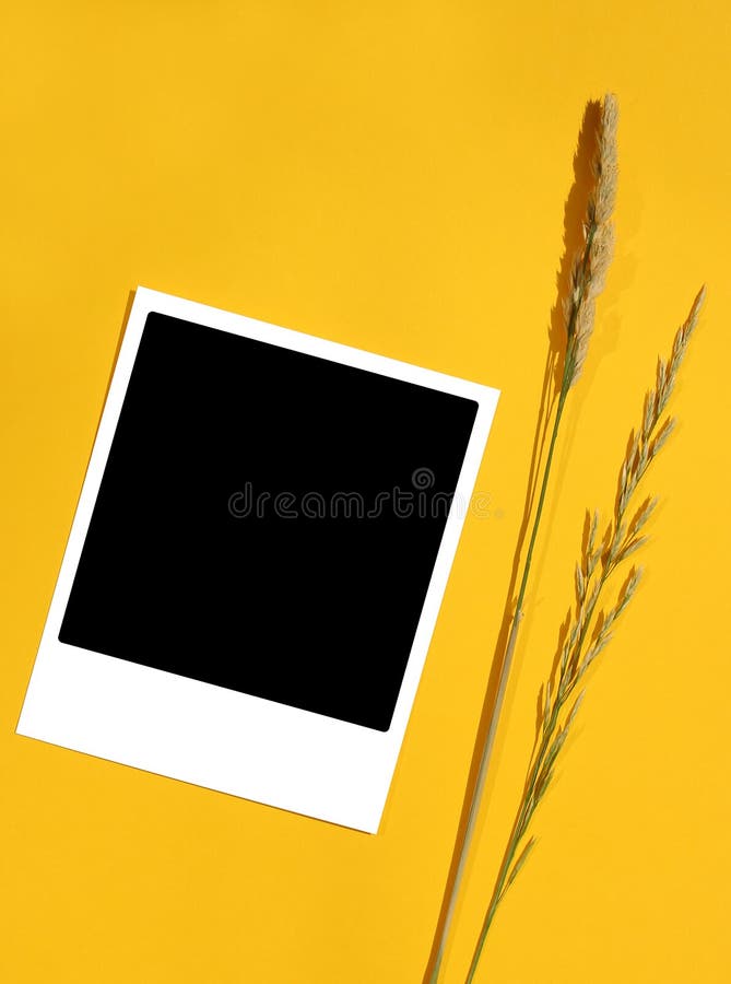 Polaroid Illustration on a Yellow Background Stock Image - Image of ...