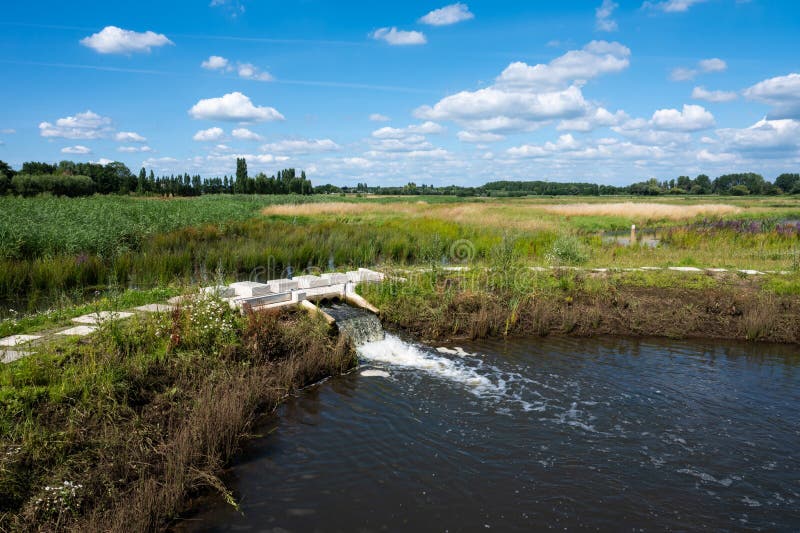 Polder Nature Reserve at the River Dyle Around Duffel, Belgium Stock ...