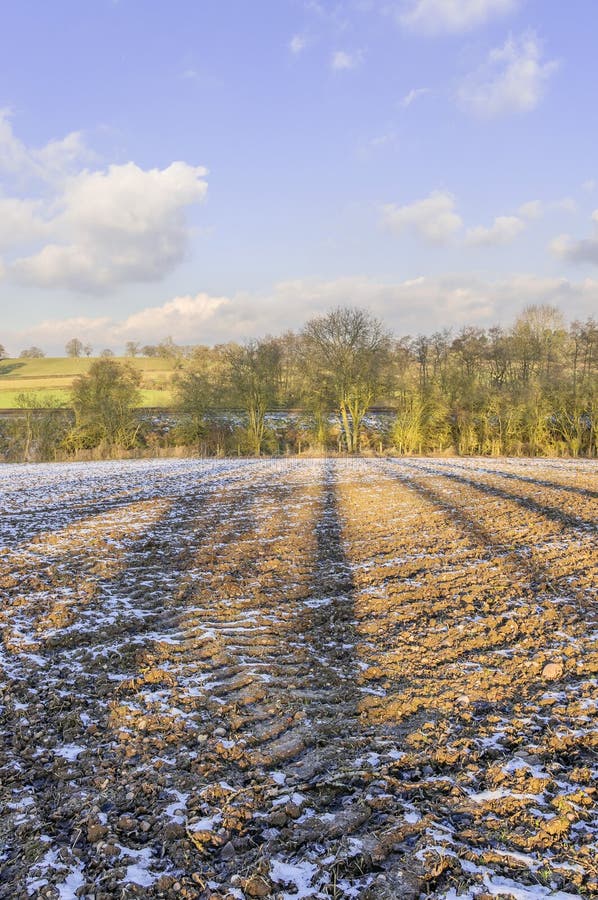 Pole obraz stock. Obraz złożonej z życie, gospodarstwo - 28842617