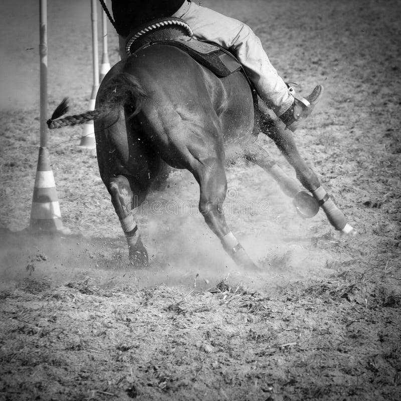 Pole bending stock image. Image of white, power, action - 24676431