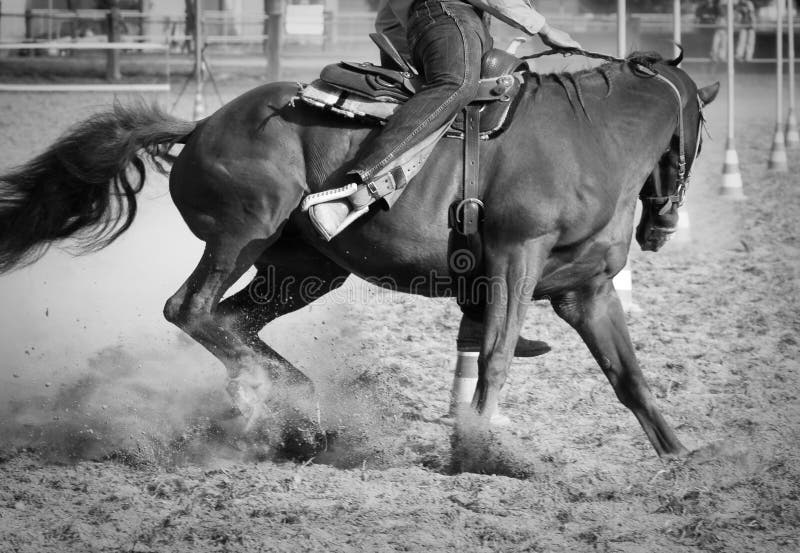 Pole Bending training stock photo. Image of track, muscle - 24891938