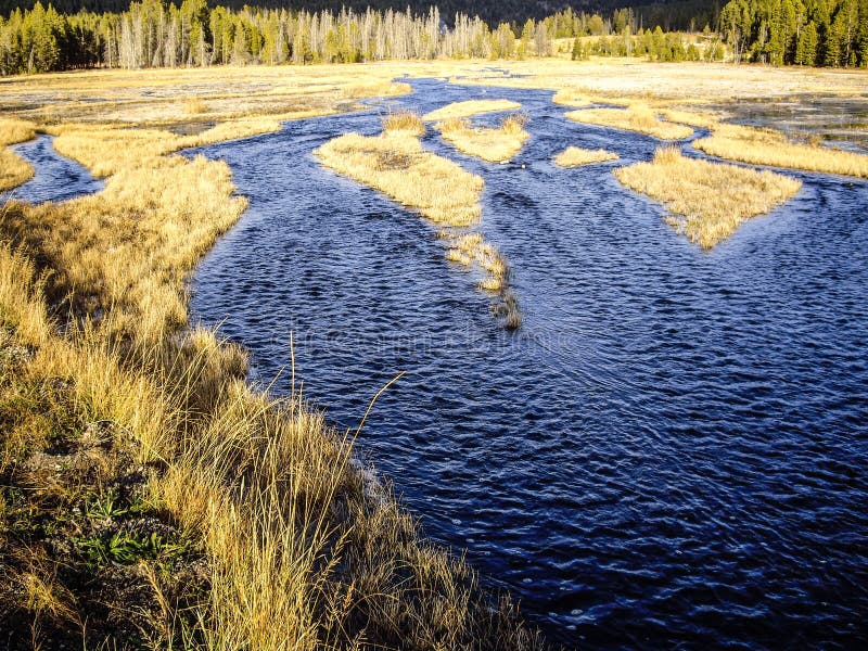 Pole Cat Creek stock image. Image of marsh, flora, dusk - 31376141