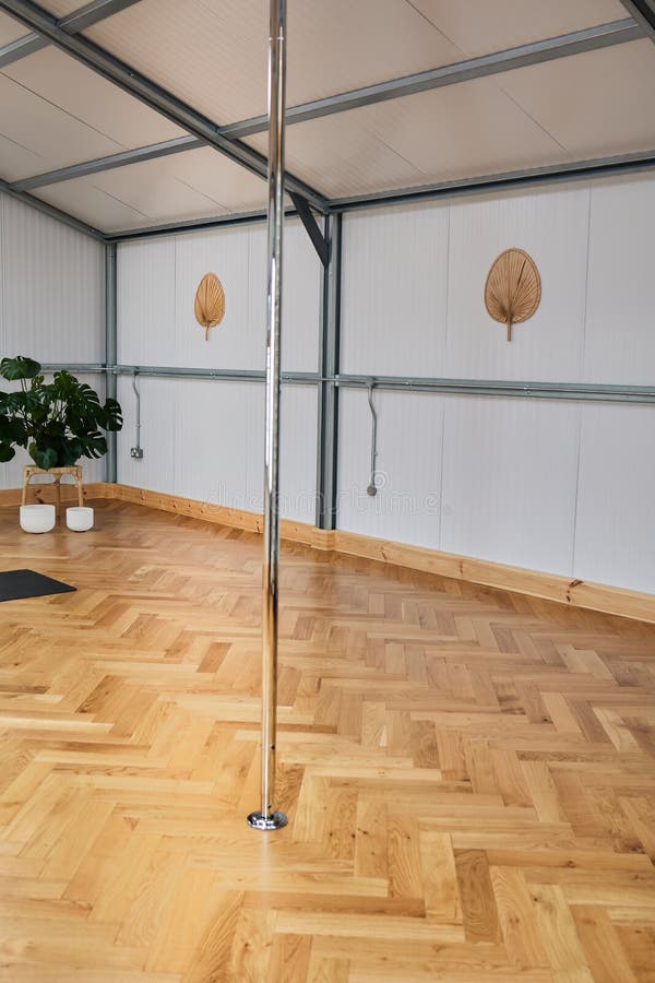 Pole Dance Studio without People. Dance Bar in Vertical Format Stock ...