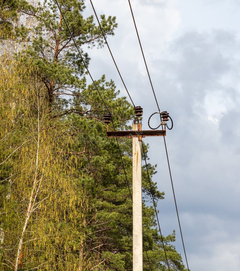 Pole with Electric Wires Near the Forest Stock Image - Image of ...