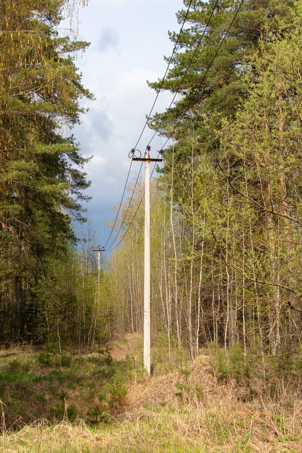 Pole with Electric Wires Near the Forest Stock Photo - Image of ...