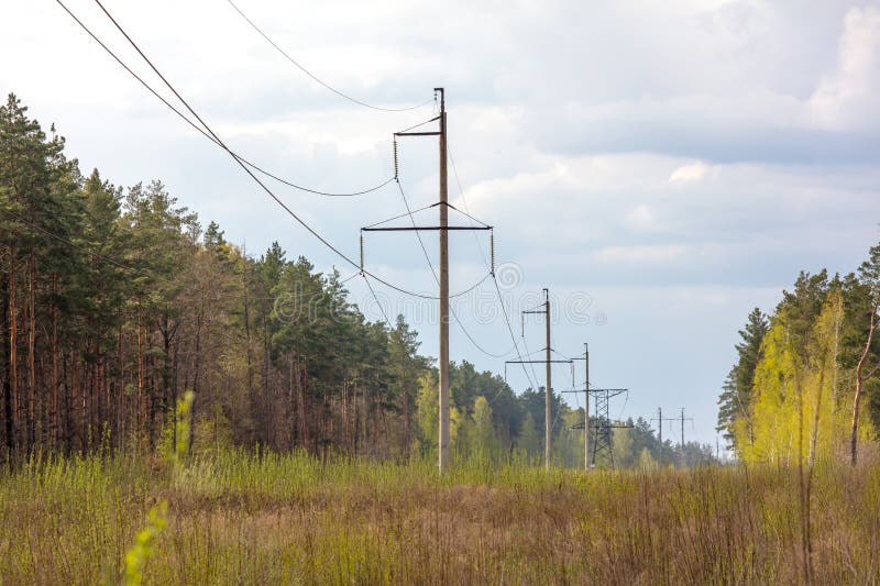 Pole with Electric Wires Near the Forest Stock Image - Image of ...