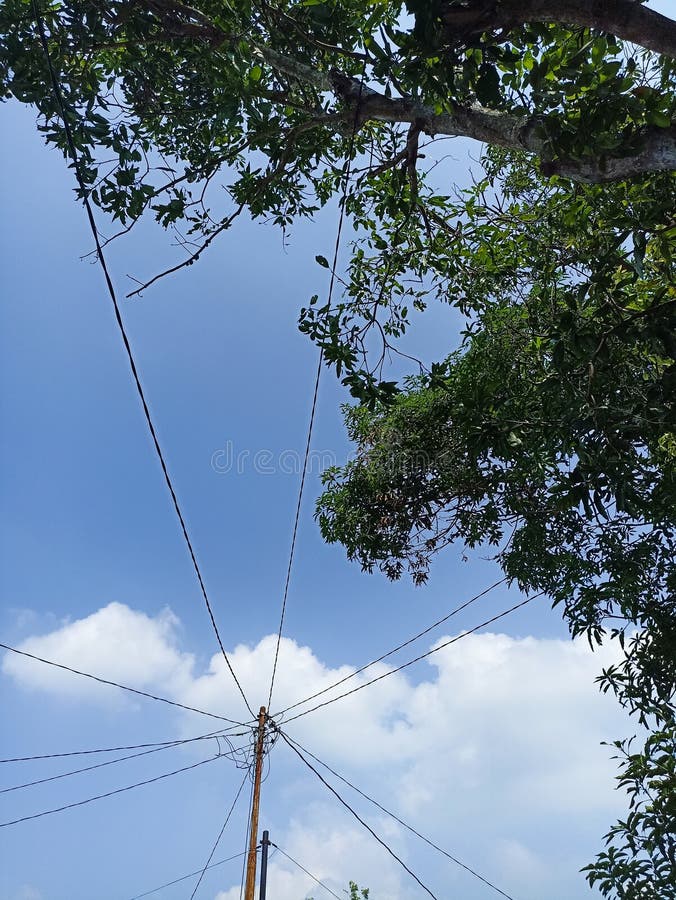 A Pole Full of Electric Cables. Electric Pole during the Day Stock ...