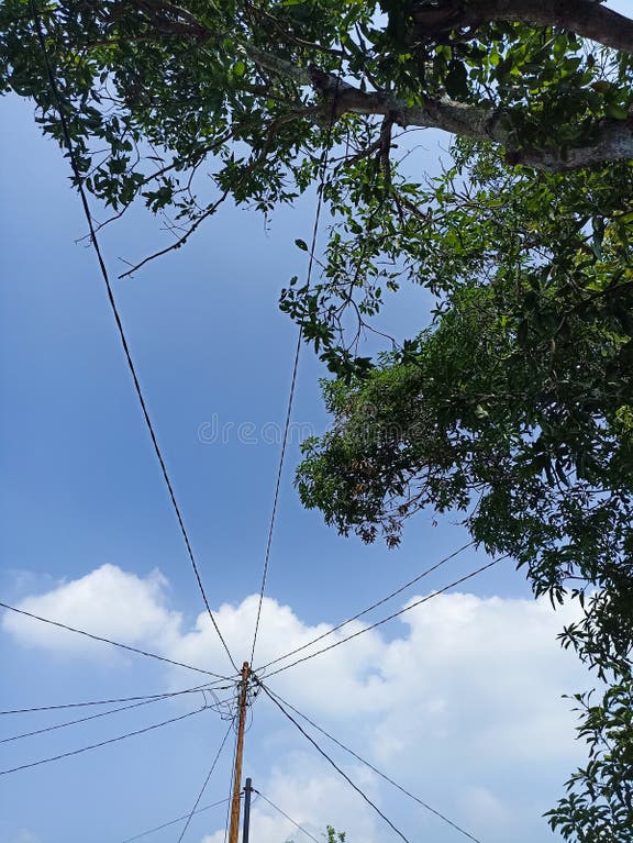 A Pole Full of Electric Cables. Electric Pole during the Day Stock ...
