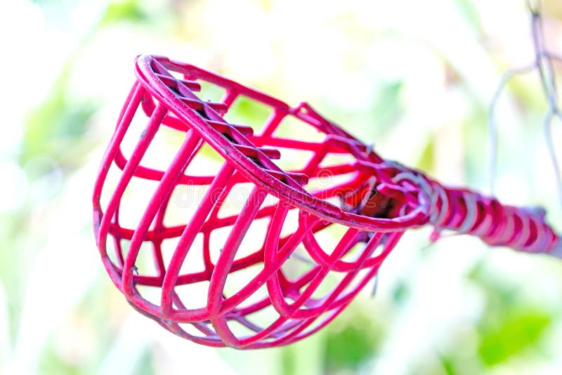 A Pole for Picking Fruits from a Tree, Long Stick Plastic Stock Image ...