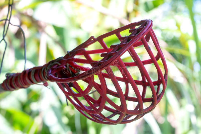 A Pole for Picking Fruits from a Tree, Long Stick Plastic Stock Image ...