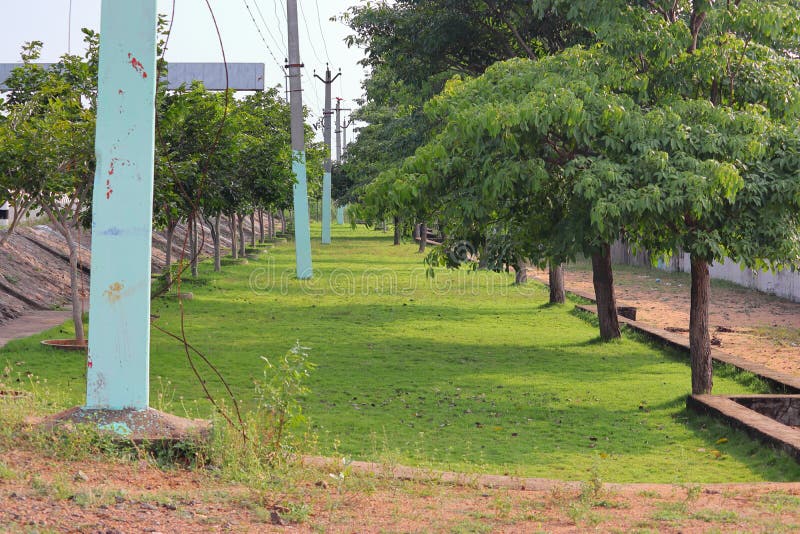 Pole of Power Line Passing through Trees Stock Photo - Image of nature ...