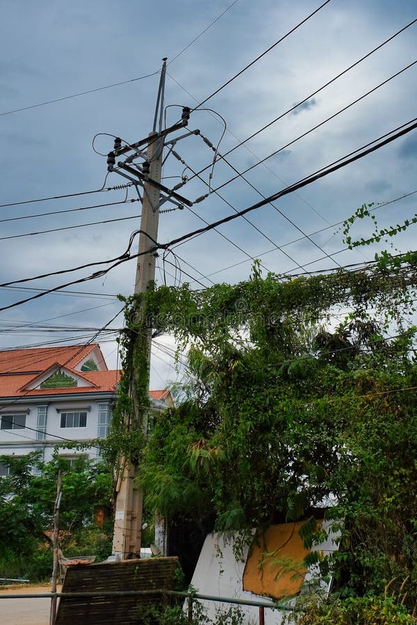 Pole of Power Lines, Green Vegetation Hanging from Wires Stock Image ...