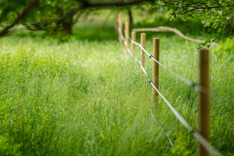Pole Supporting an Electric Fence by a Field.. Stock Image - Image of ...