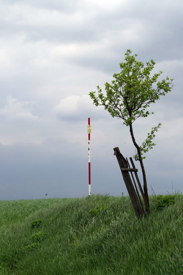 Pole and tree stock photo. Image of fence, fields, landscape - 93181360