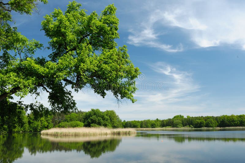Polen-Landschaft stockfoto. Bild von polen, nadeln, ruhig - 9325854