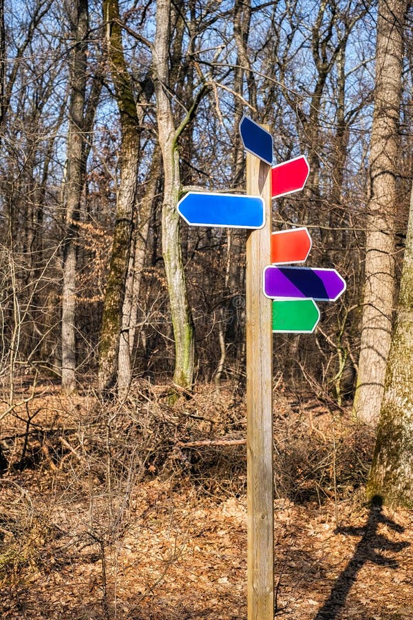 Poles with Colorful Signs in the Forest Stock Image - Image of arrow ...