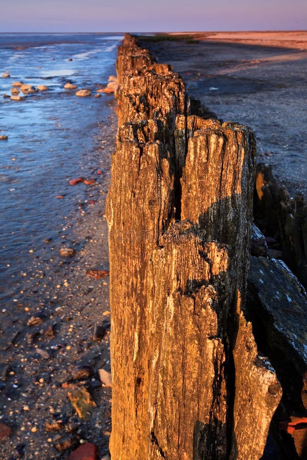 Poles in the Ocean at Sunset Stock Photo - Image of morning, nature ...