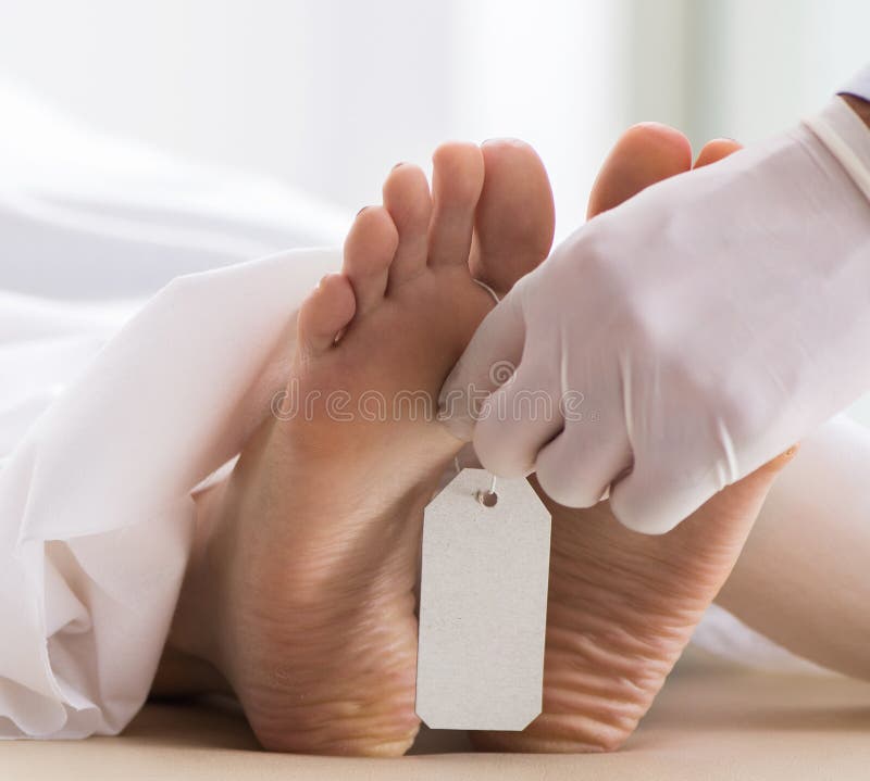 Police Coroner Examining Dead Body Corpse in Morgue Stock Photo - Image ...