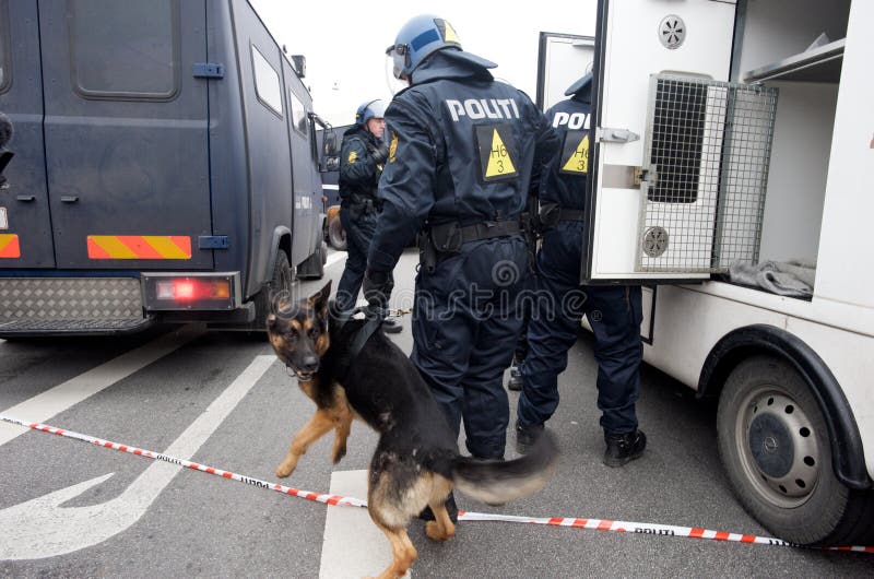 Police Dog editorial stock image. Image of wagon, riot - 20496149