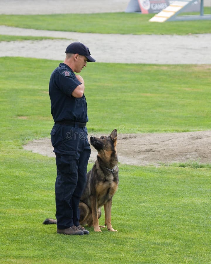 Police dog competition editorial photography. Image of participating ...