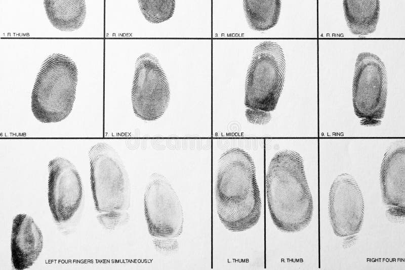 Police Form with Fingerprints, Top View Stock Image - Image of friction ...