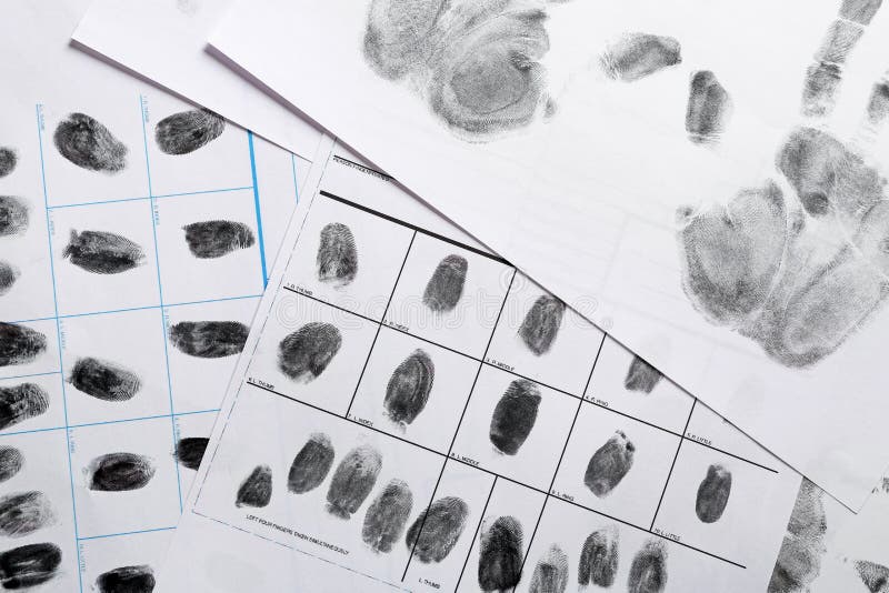 Police Forms with Fingerprints, Top View Stock Image - Image of card ...