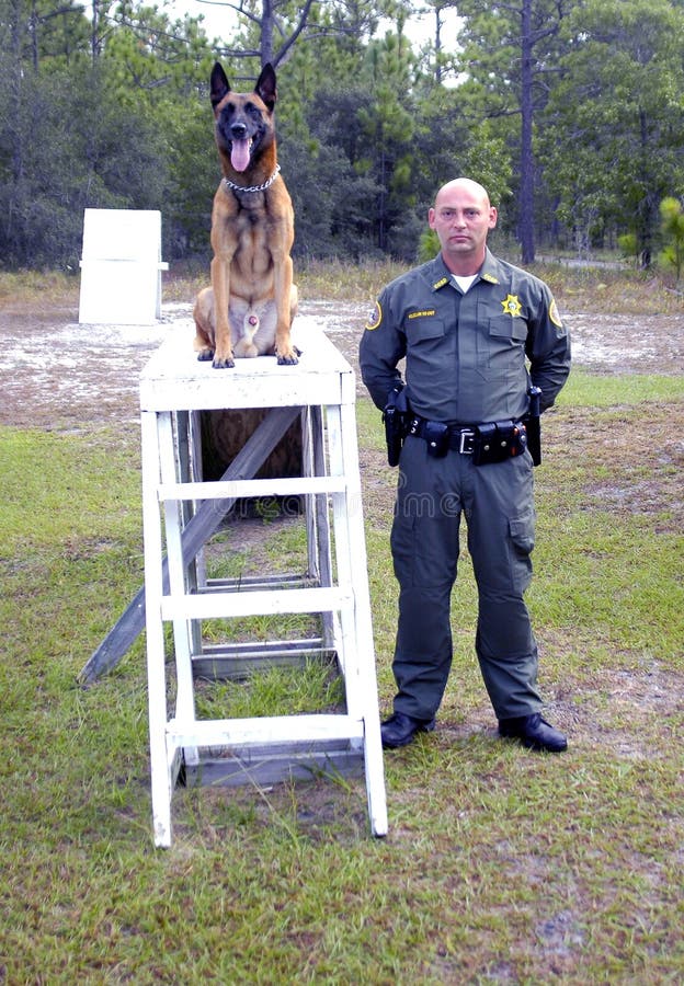 Us Navy Sailor and Police Dog of K9 Unit Editorial Photography - Image ...
