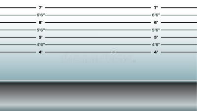 Police Height Chart Stock Illustrations – 380 Police Height Chart Stock ...