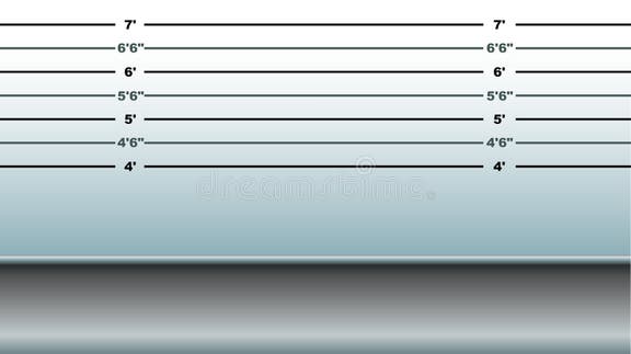 Police Height Chart Stock Illustrations – 380 Police Height Chart Stock ...