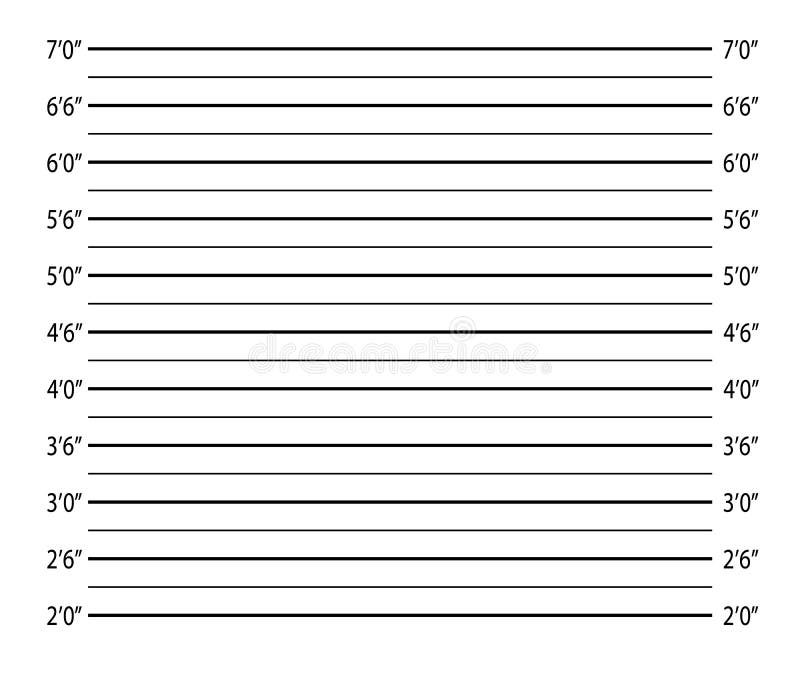 Police Lineup or Mugshot Background. Vector Stock Illustration ...