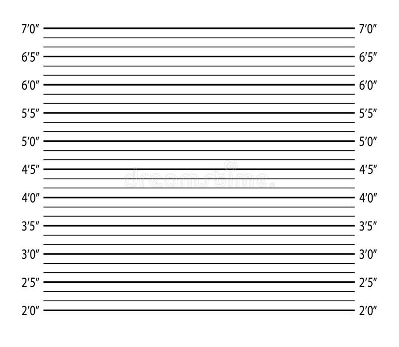 Police Lineup or Mugshot Background. Vector Stock Illustration ...